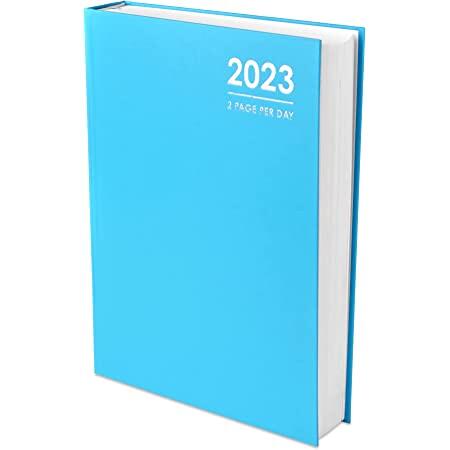 A4 Appointment Color Block Diary | M&C Drugstore